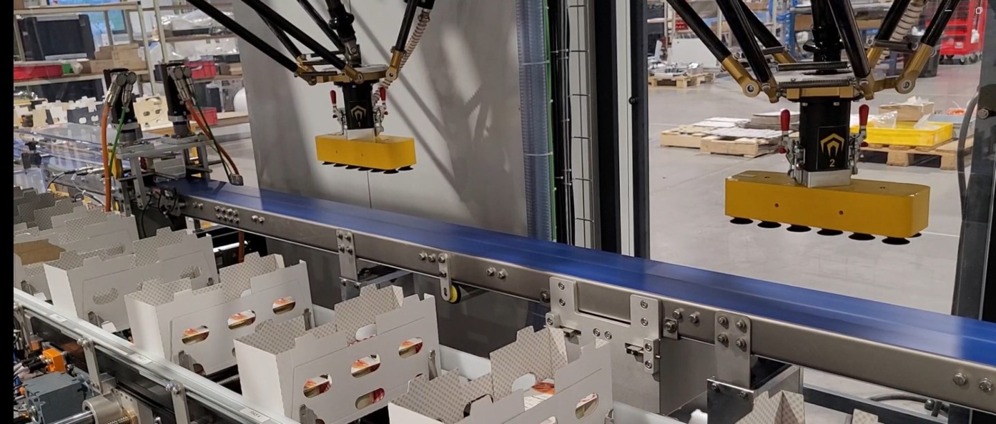 Top load case packer | Case study | MG Tech